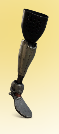 Bionic Soul